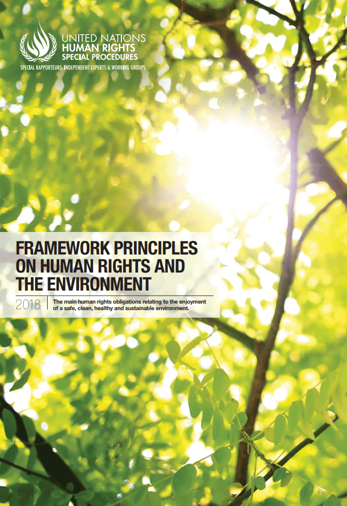 Environment & climate change - National Action Plans on Business and ...