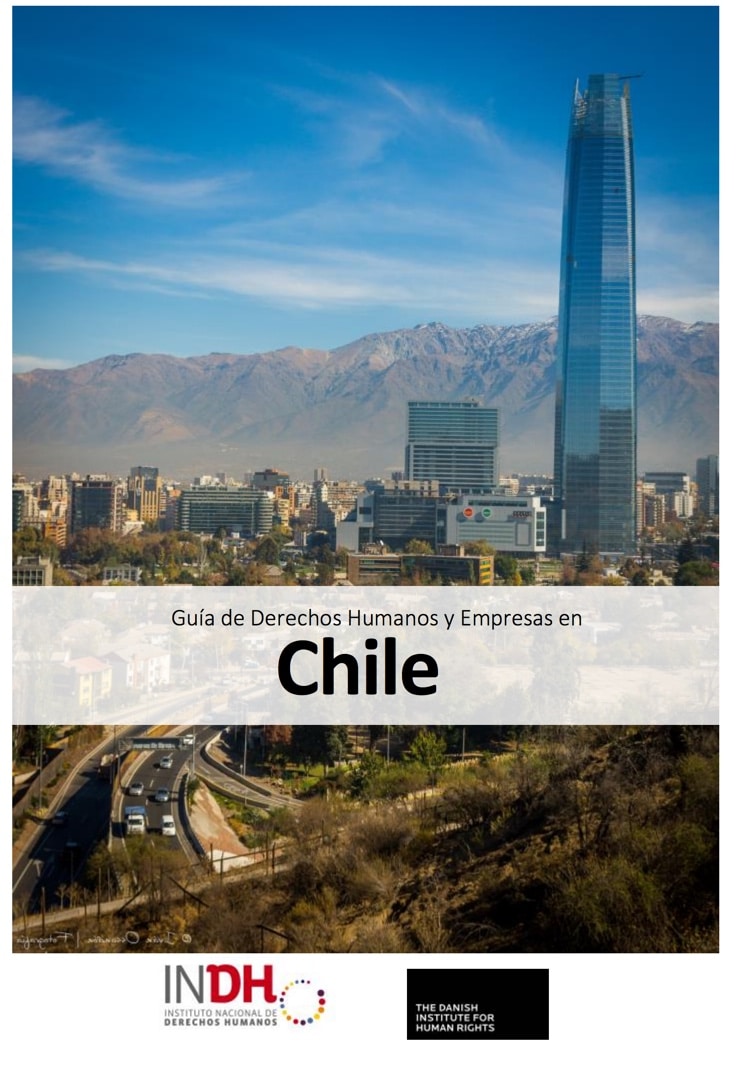 Chile - National Action Plans on Business and Human Rights