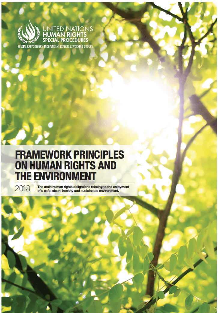 Environment & climate change - National Action Plans on Business and ...